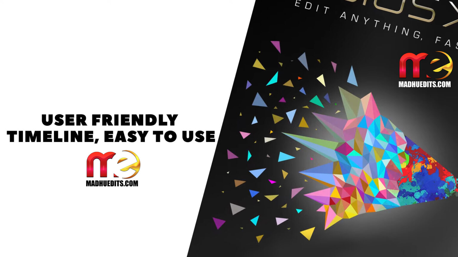EDIUS X PRO - No.1 Video Editing Software Lifetime - MadhuEdits